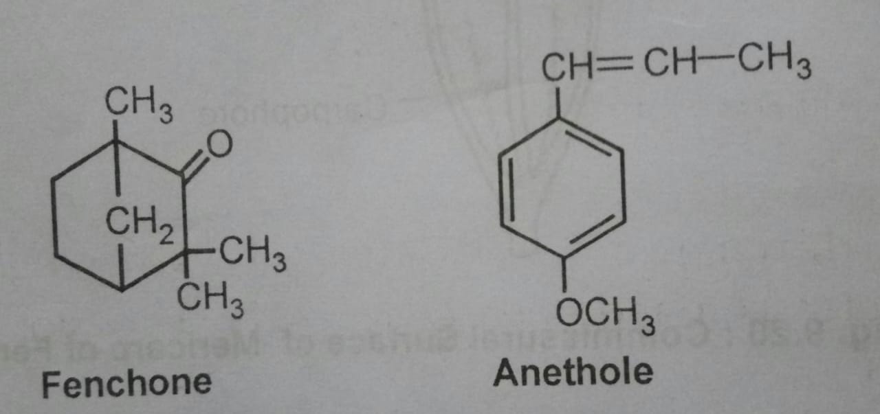 FENNEL SEED ~ Natural herbs