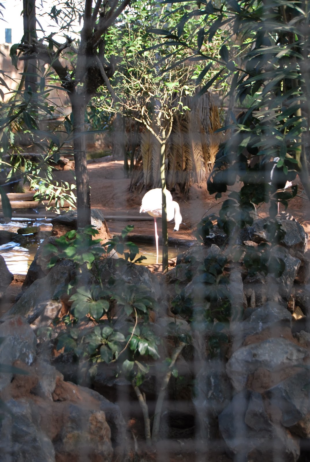 Le Grand Bazaar: Les Jardins Exotiques de Bouknadel... ou la journée ...