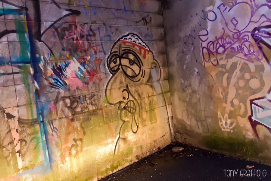 I frammenti di cultura di Tony Graffio: L'omino dal cervello riprogrammato