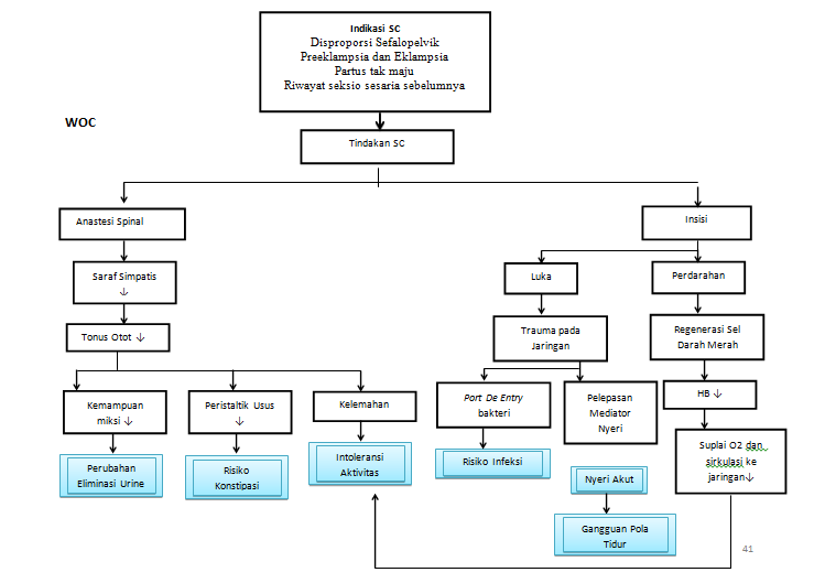 Tatalaksana Pasien Post Sectio Caesarea Lengkap - askep
