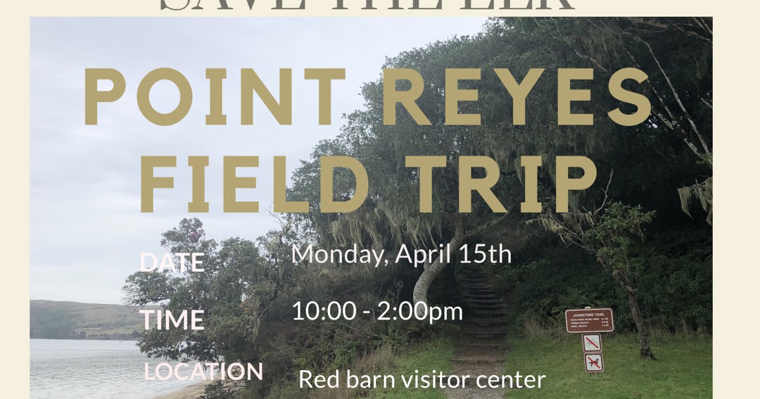 Laura Cunningham Art and Nature