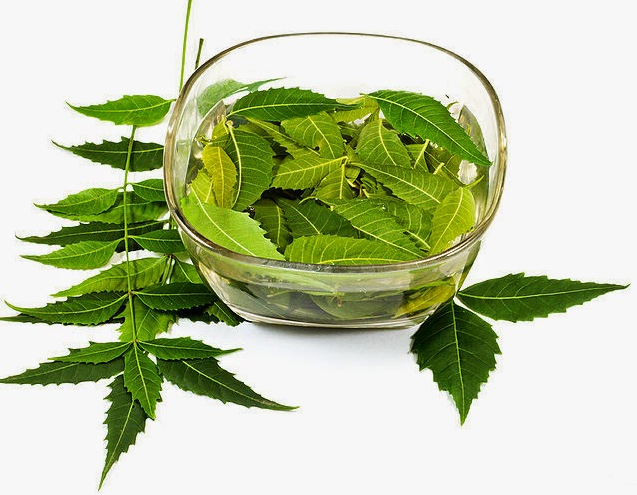 Swasthya or Sehatmand Rahne ke Liye Hari Pattiyan | स्वास्थ्य और ...