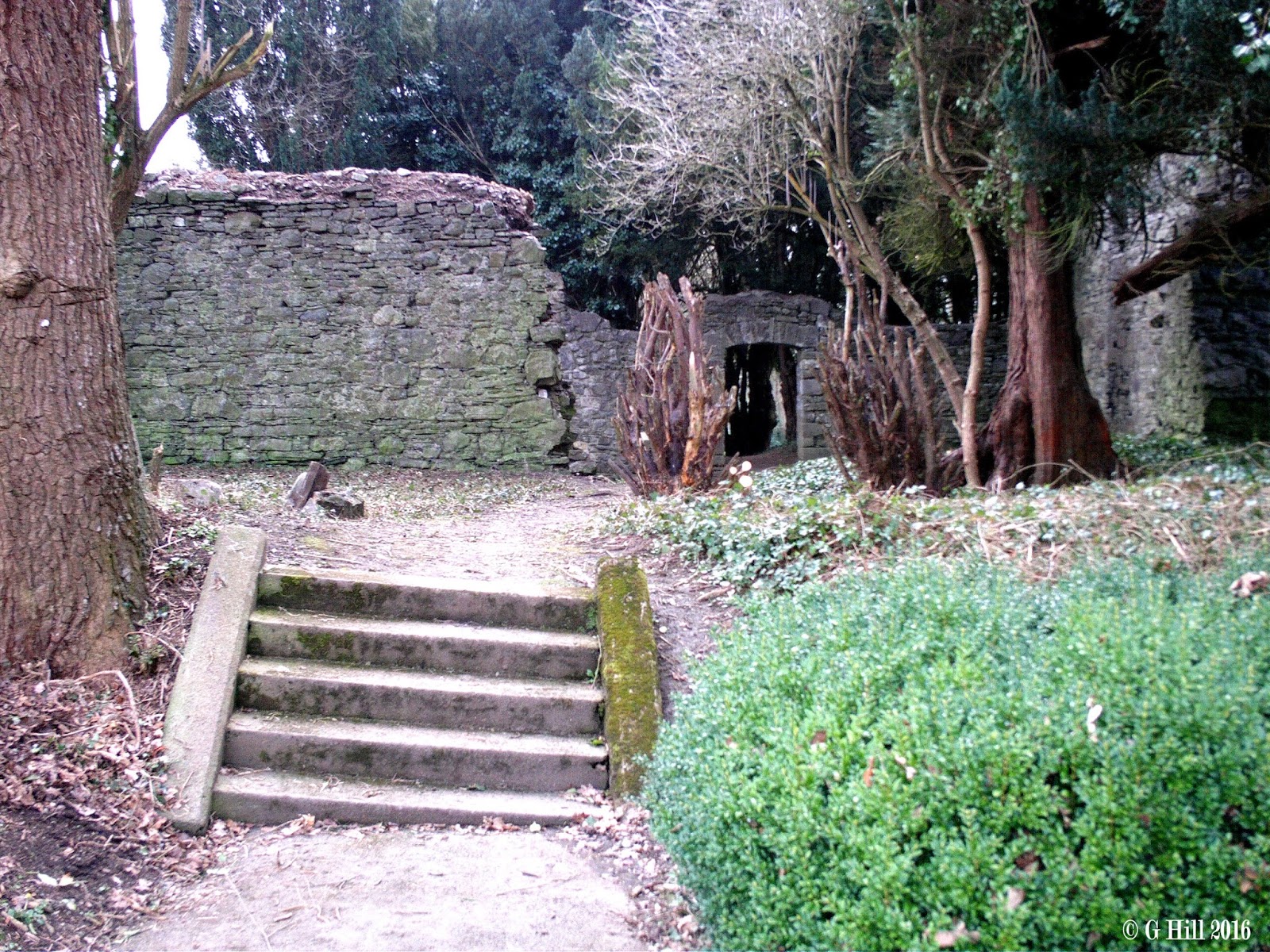 Ireland In Ruins: Old Straffan Church Co Kildare