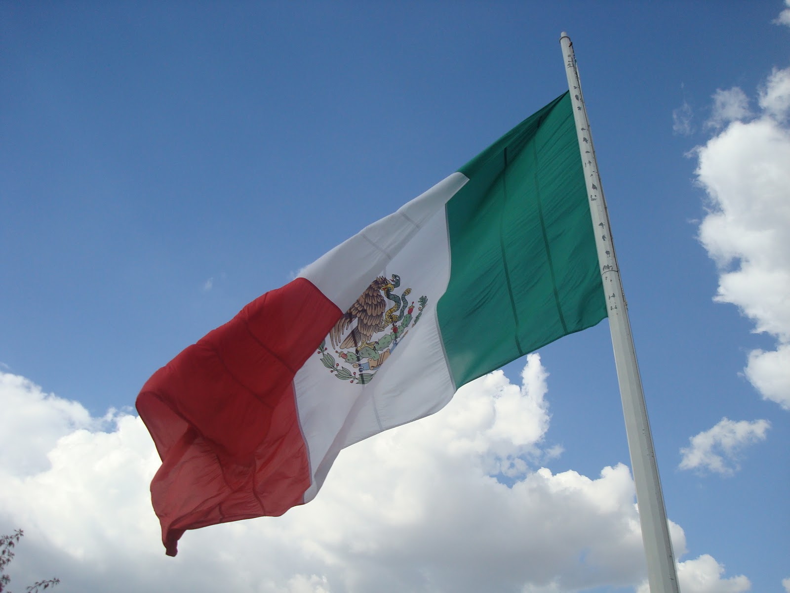 sancarlosfortin: la badera de mexico simbolo nacional