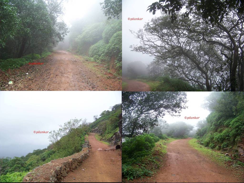 TUNGARESHWAR TREK