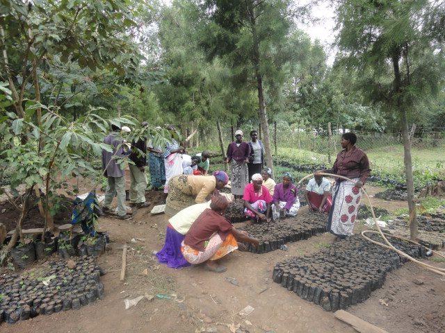 CONSERVATION vs COMMUNITY;Boundary Trees Planting and Community Based ...