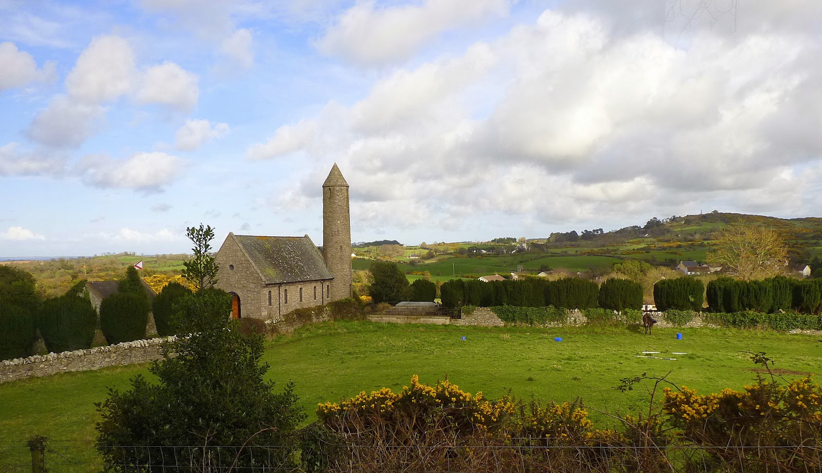 Birding For Pleasure: St Patirck's day and Irish Dance Video