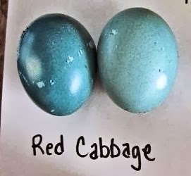 Saga's Cottage : Natural Egg Dying for Ostara