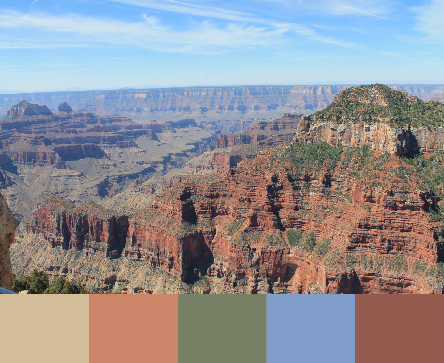 Taken by the Hand: Southwestern Color Palettes