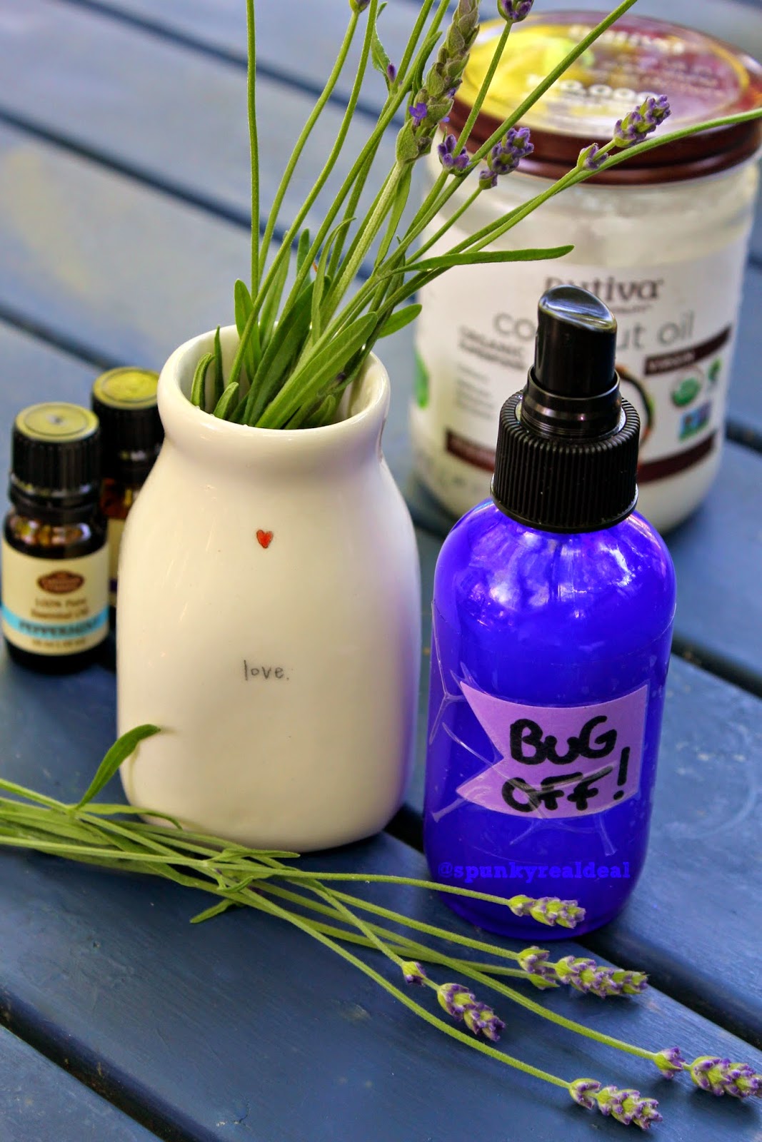 The Best Bug Off Spray DIY the-best-bug-off-spray-diy