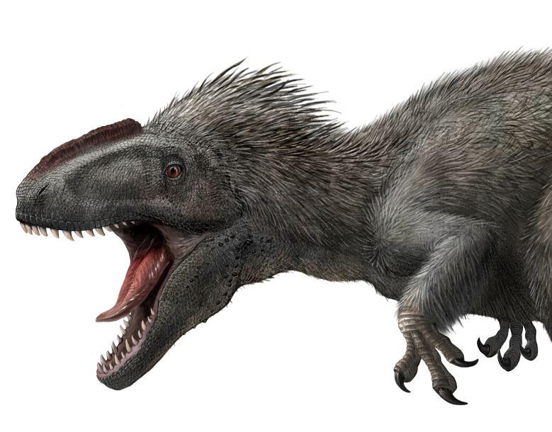 Species New to Science: [Paleontology • 2012] Yutyrannus huali ...