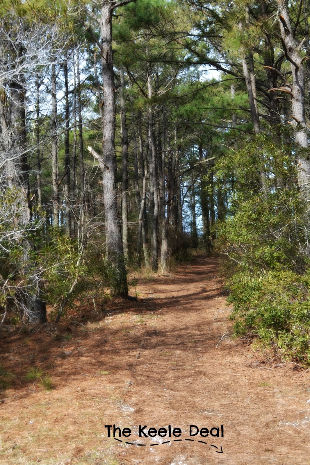 Assateague Island, Maryland - The Keele Deal