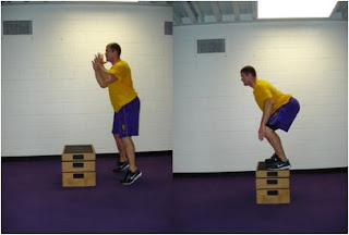 Healthy Tiger: ACL Jump Training
