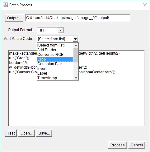 Imagej batch processing - mokasinboat