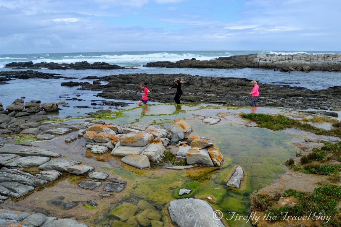 Port Elizabeth Daily Photo: 2016