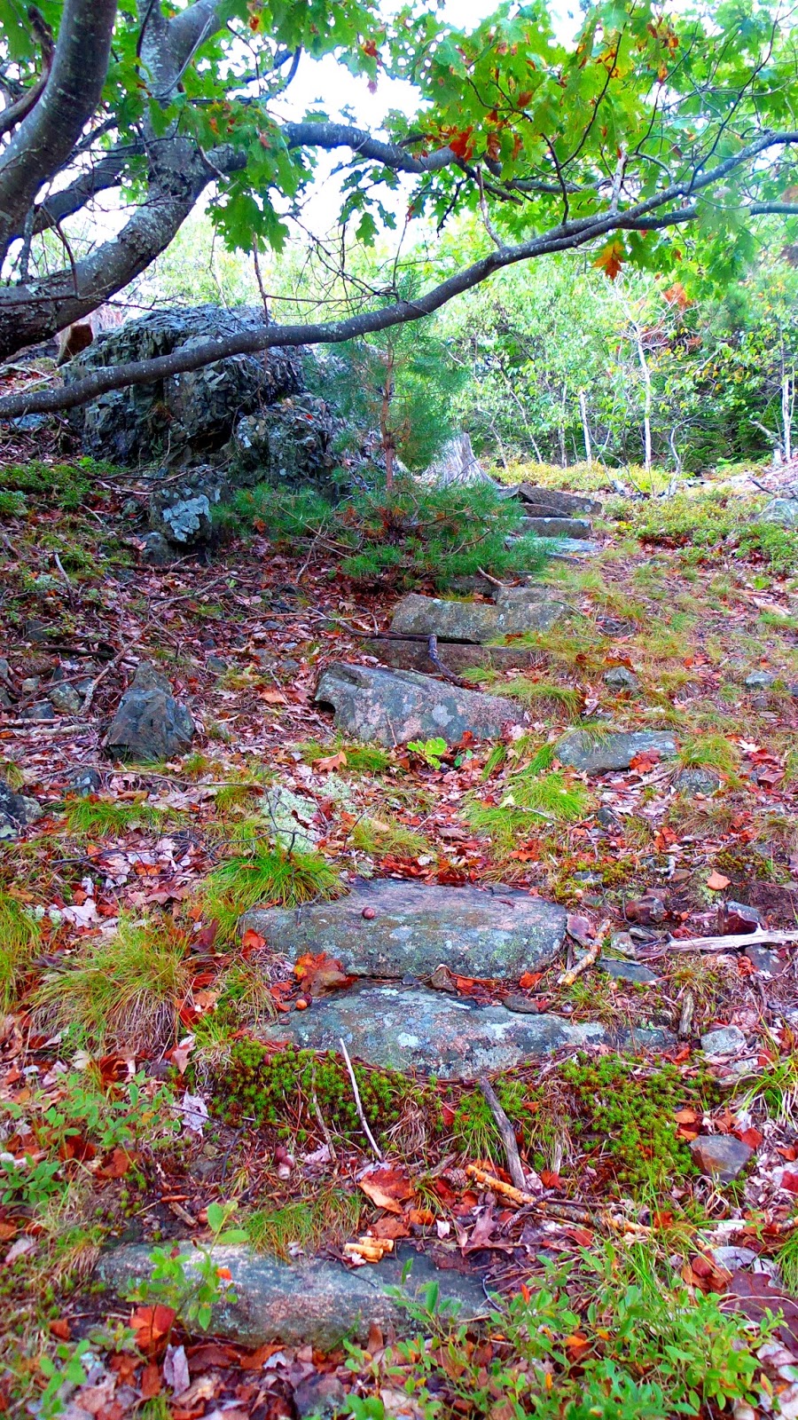 ABANDONED TRAILS OF ACADIA NATIONAL PARK: LOST GEORGE B. DORR BICYCLE PATH