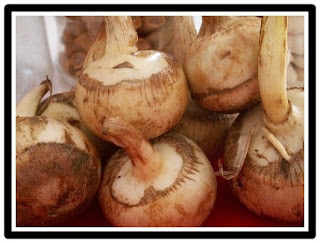 My Recipes: STIR FRIED SPICY ARROWROOT'S