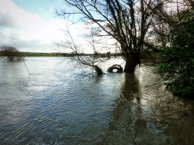 Devizes Days in Words and Pictures 2015: Walking in the Floods near ...