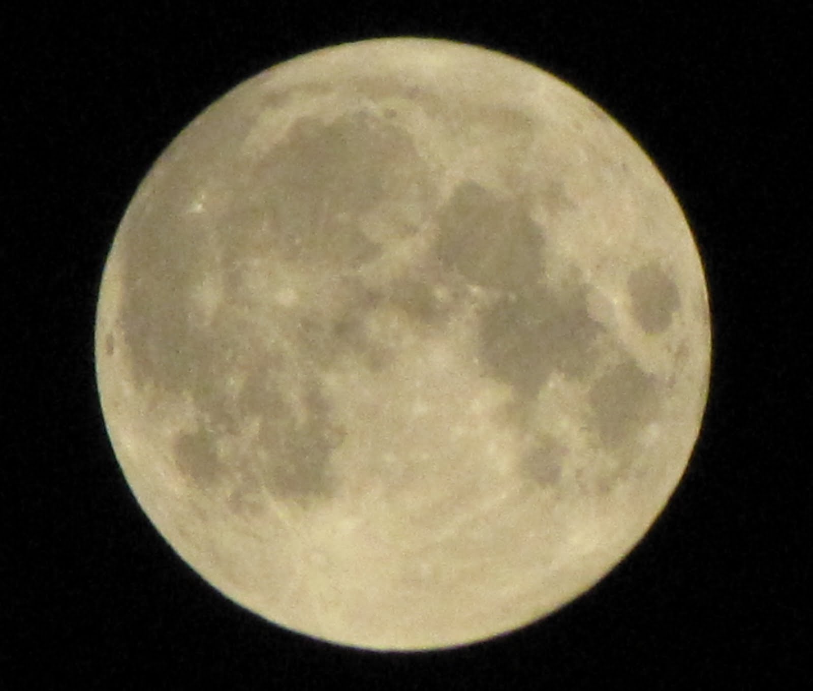 The Life and Times of Remington: Moon watching....