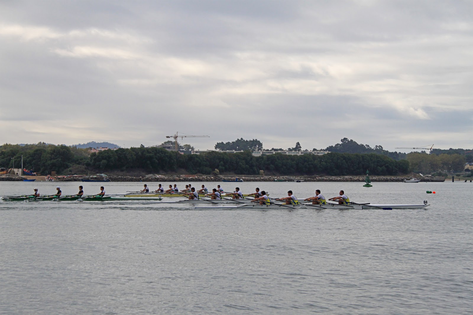 Pestana Fotografia: Campeonato Nacional Sprint Remo 500 M