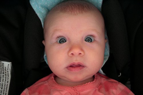 Disable panic mode covenant eyes - gulumerchant