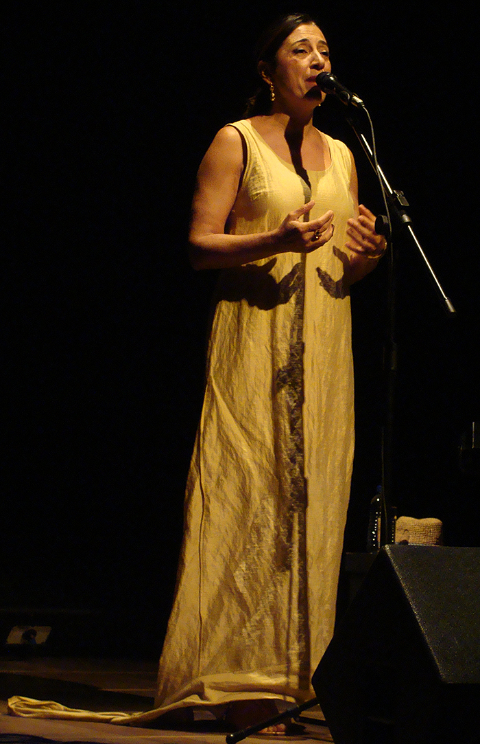 Notas Musicais: Jussara Silveira é amor da cabeça aos pés no show 'Ame ...