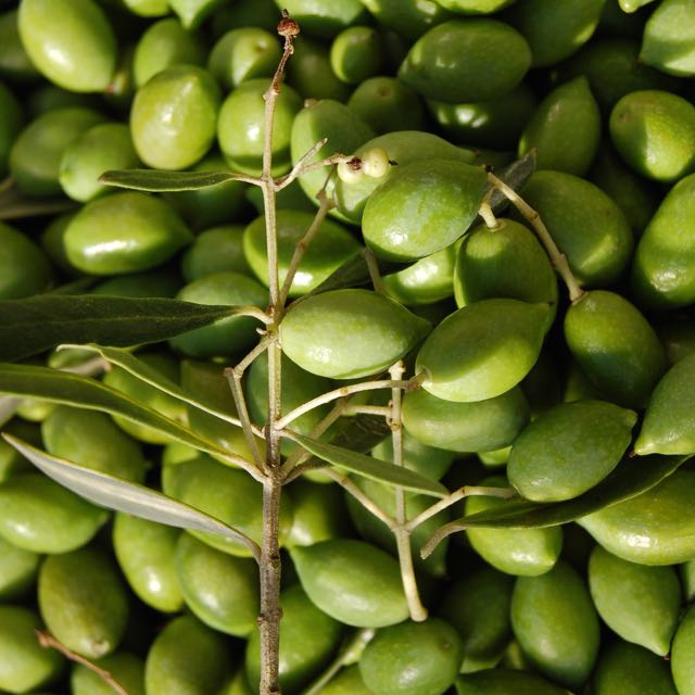Zelf doen. Olijven uit eigen tuin.