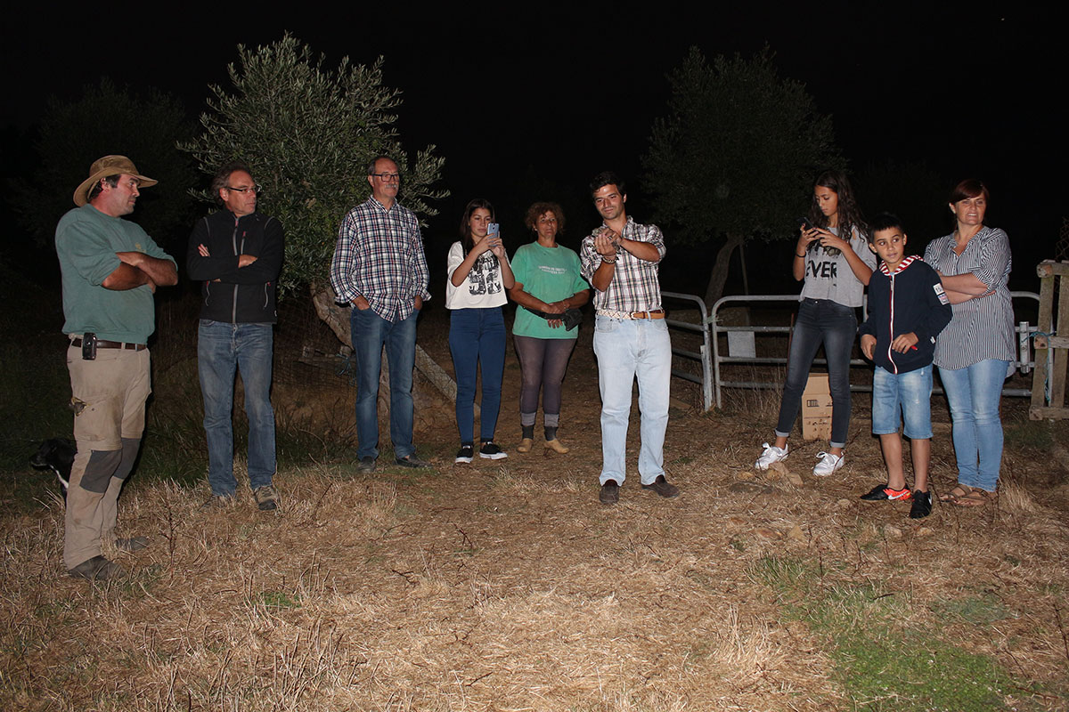 Devolução à Natureza de 2 mochos-galegos em Seia