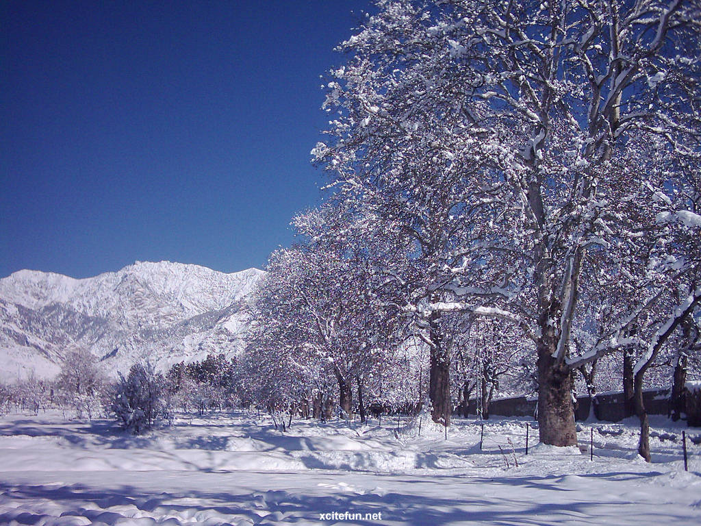Kurram Valley FATA Area Pakistan Images Hub ~ Leep Fun