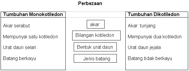 NOTA