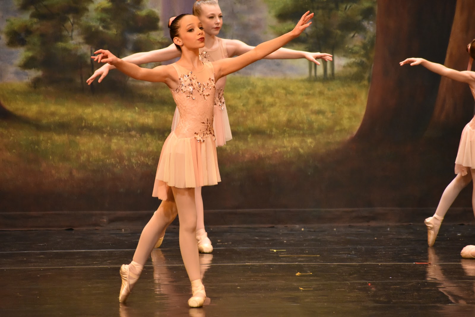 Helms Family Blog: Royalty Dance Academy - Narnia: The Lion, the Witch ...