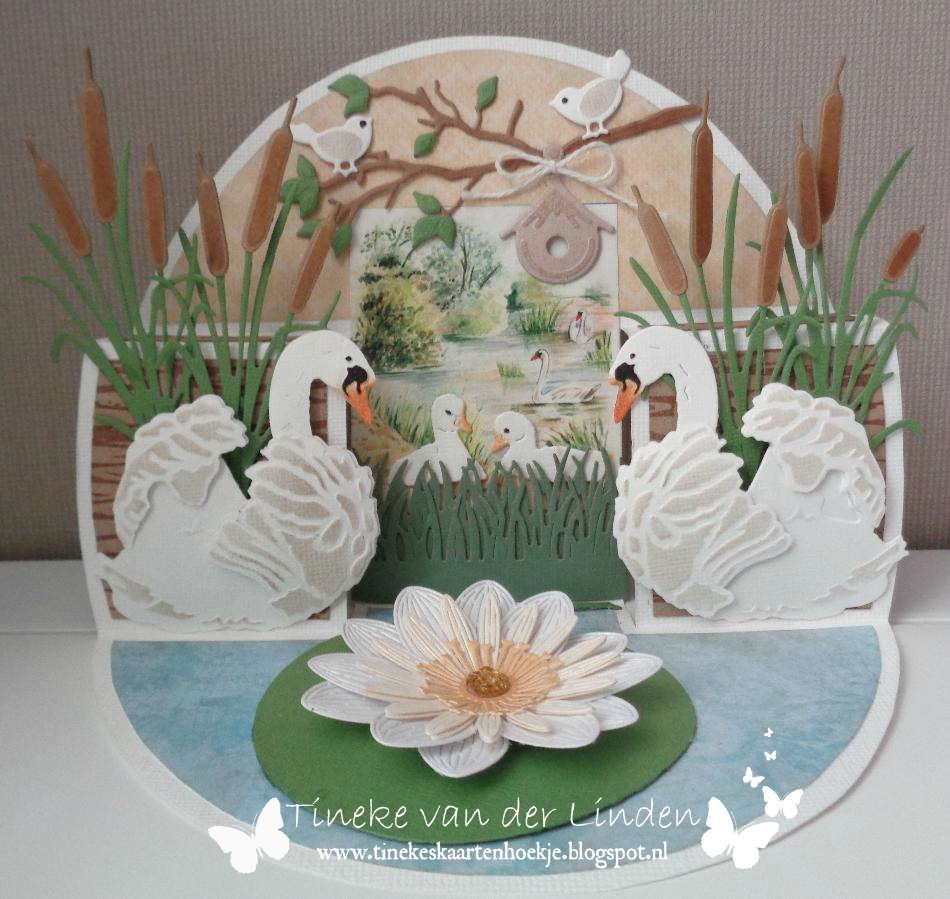 Marianne's Design Divas: Anything goes option special shaped cards at ...