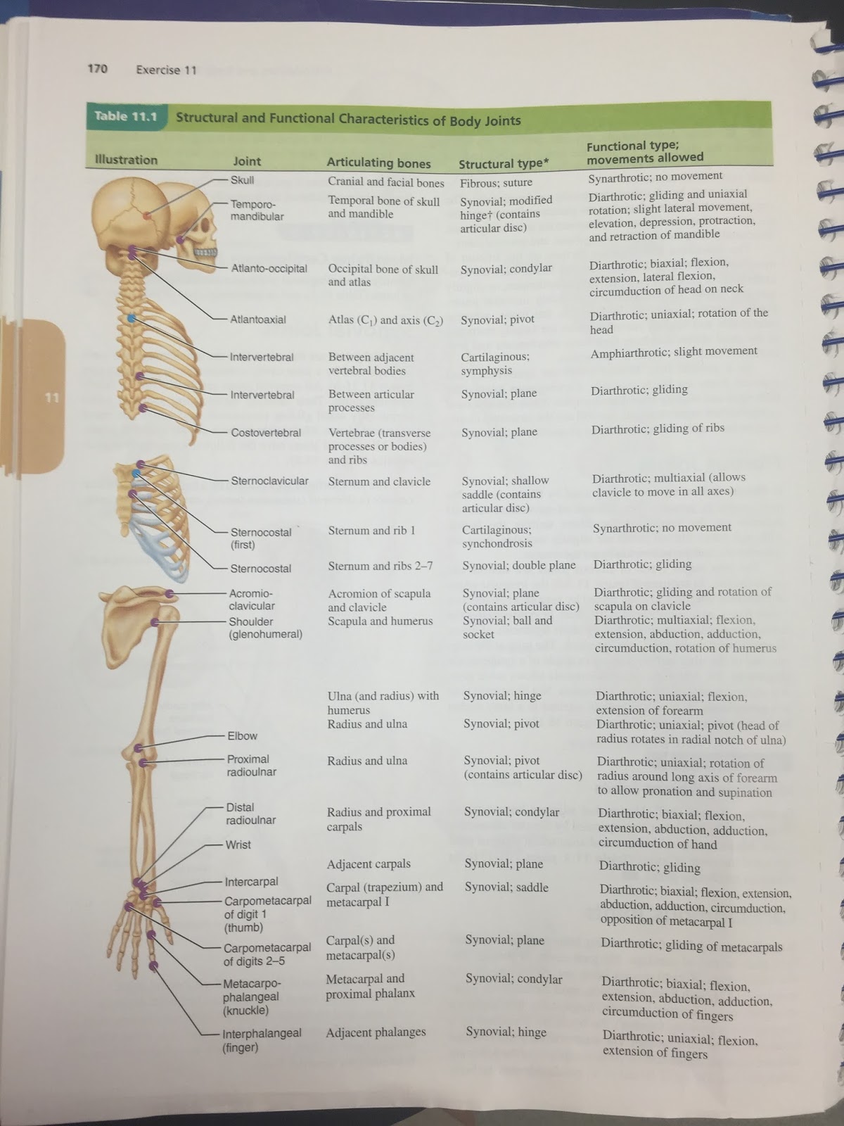 Anatomy and Physiology: Unit 2