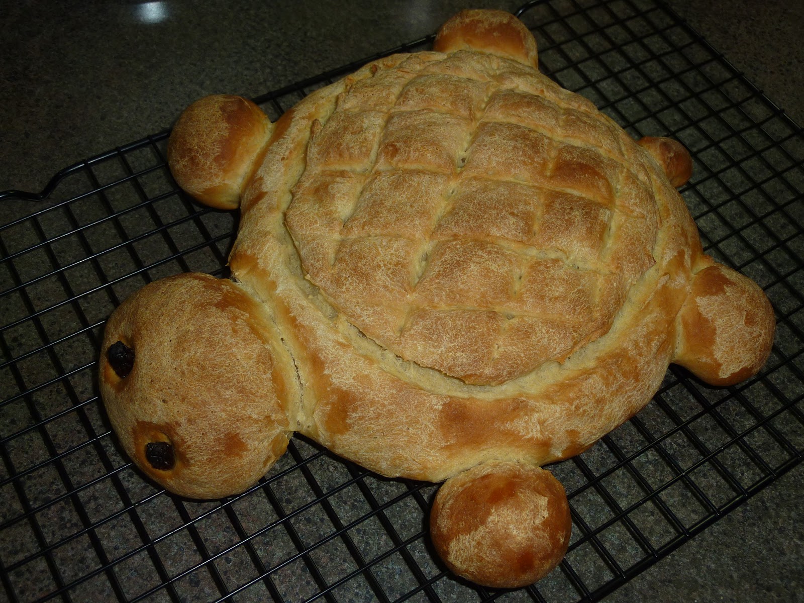 Aaha Oho: Whole Wheat Turtle Bread