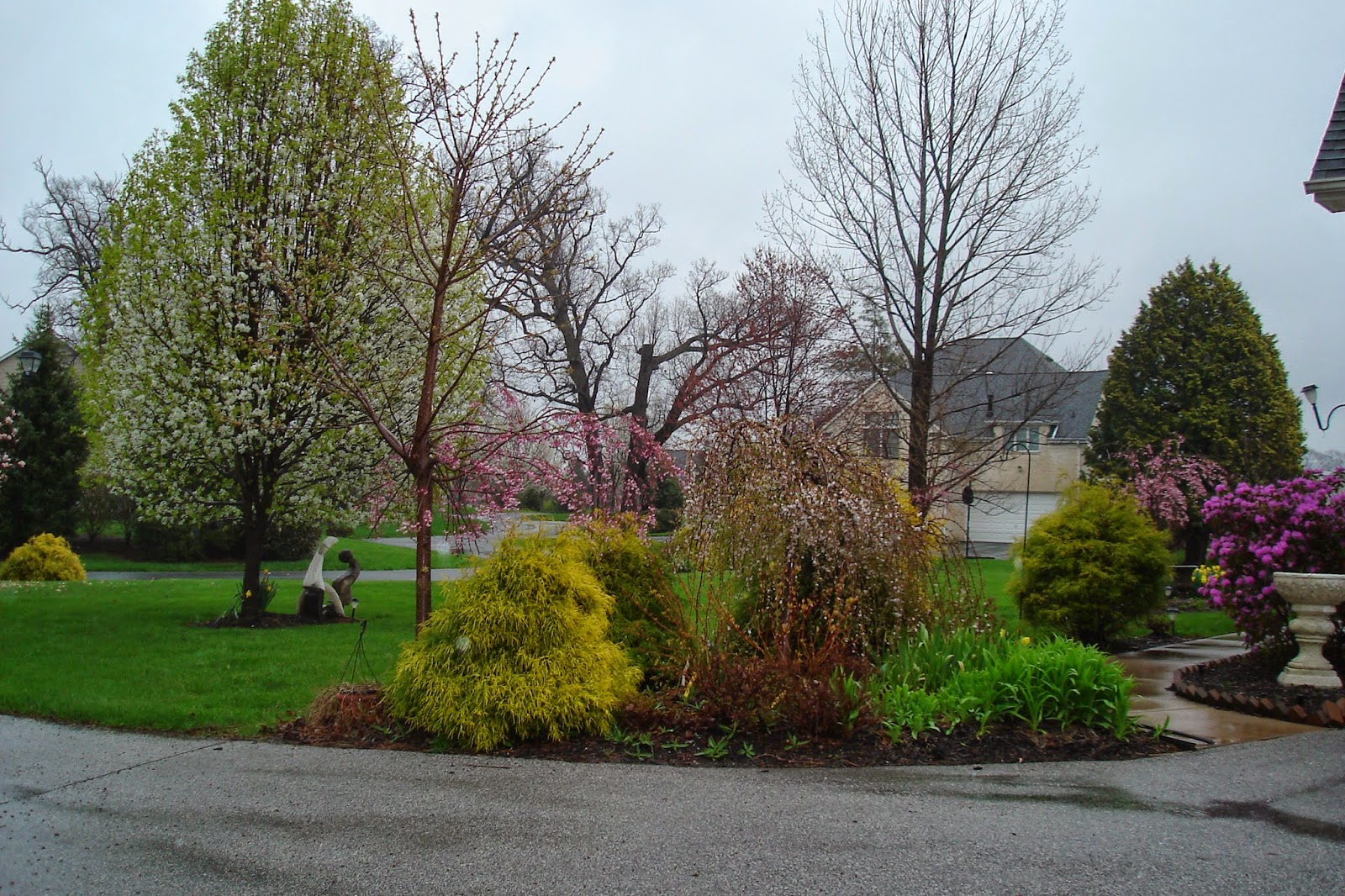 Landscaping Work Tips and Thoughts