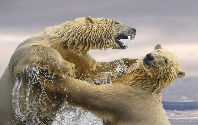 Polar Bear, the Strongest Mammal in the Frozen Land - Jamal'S