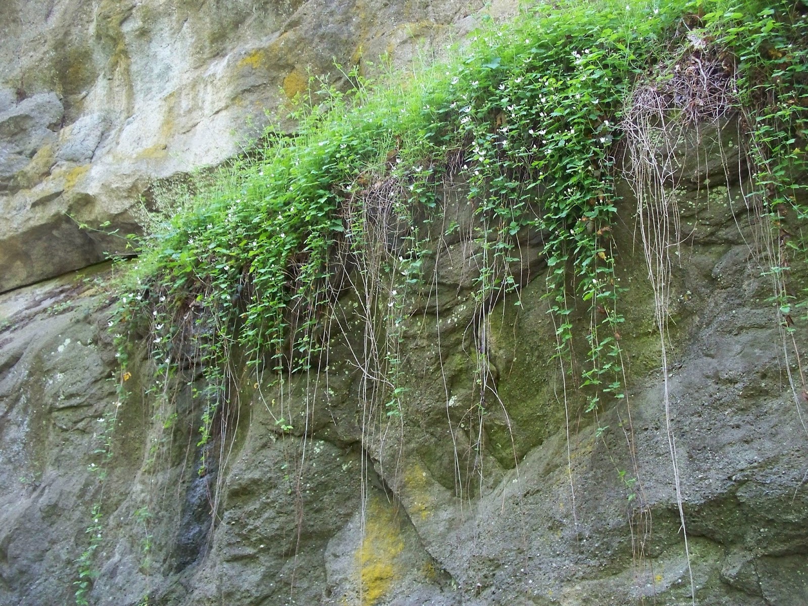 Scene Through My Eyes: Boulders and Mountains