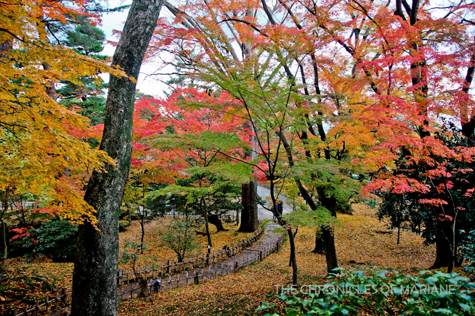 Kanazawa Travel Guide | The Chronicles of Mariane