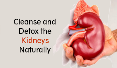 How to Cleanse and Detox the Kidneys Naturally at Home