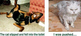 Life With The Keller Girls: Mirthful Monday