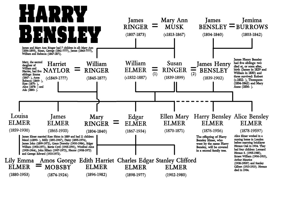 Bear Alley: January 2016