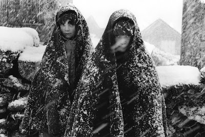 La mirada ausente: LIBRO DE LA PESADUMBRE.