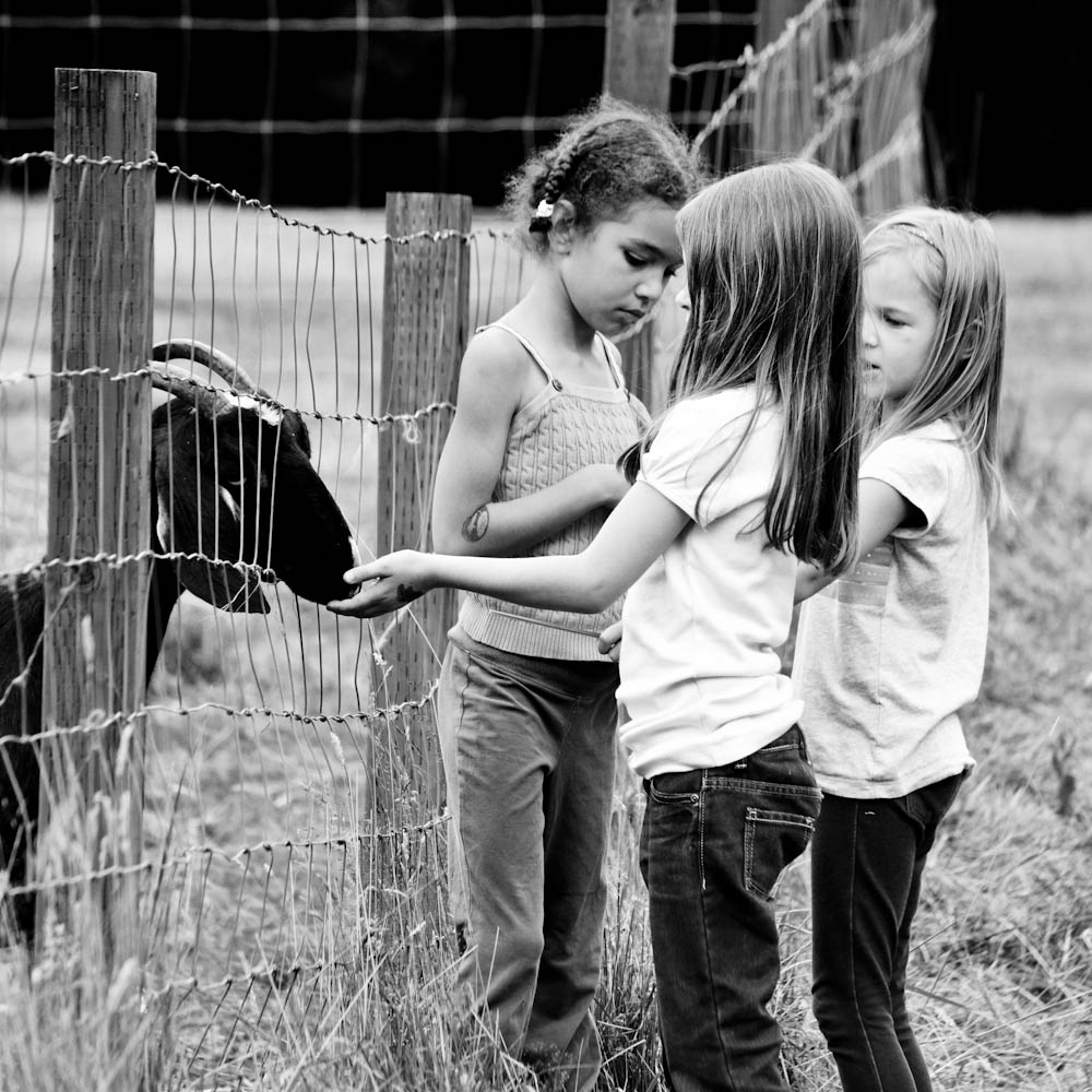 seabold vintage market: Barn House LOVE