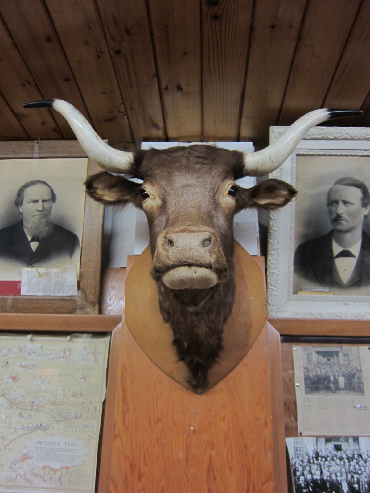 The Burnt Selena Project: Wonderful World of Clutter: Today in Awkward ...