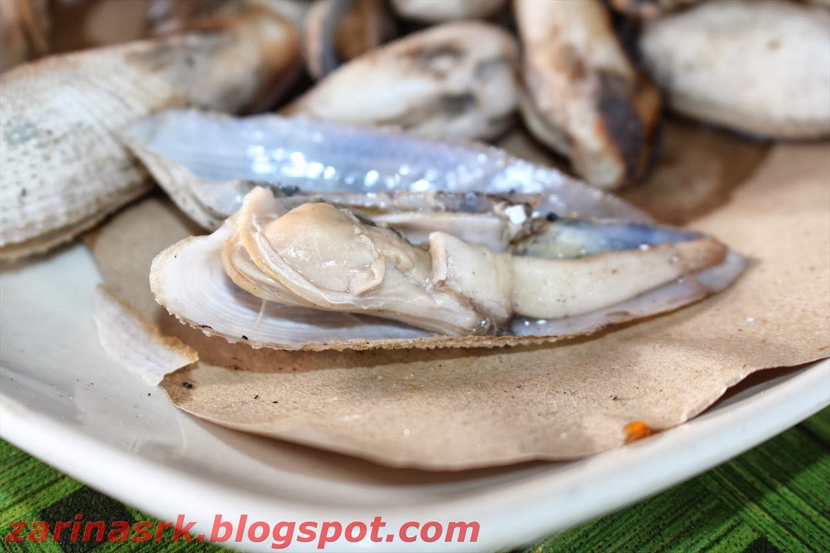 RODA BERPUSING MENCARI NIKMAT ALAM: MENTARANG, KUALA SELANGOR....