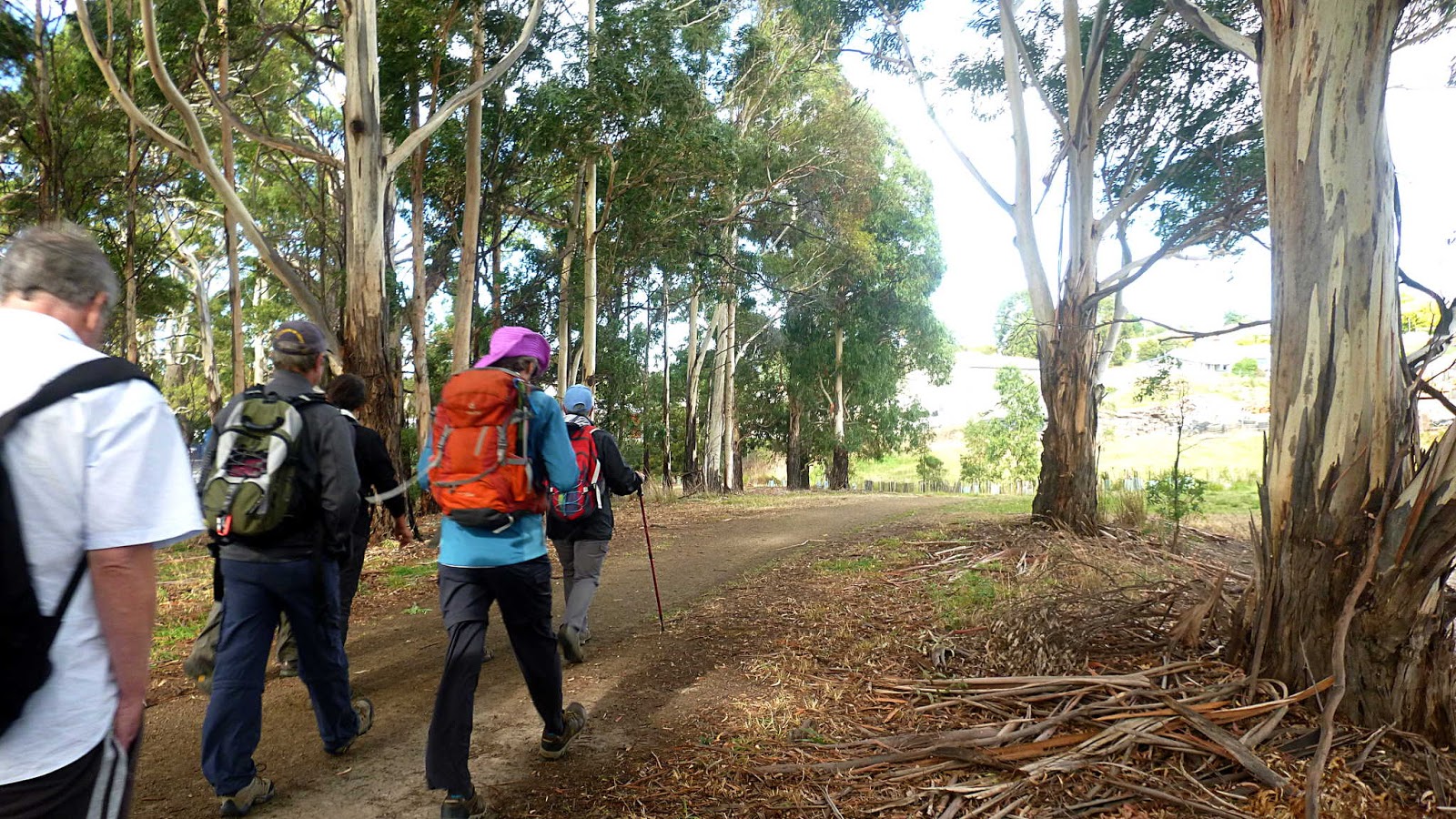 Ramblings: Peter Murrell Reserve 2018