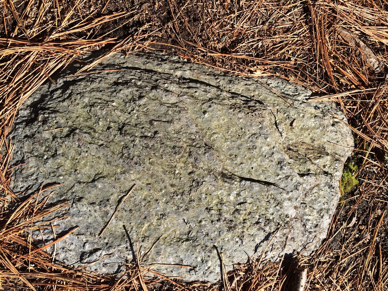 The Geology of Disc Golf