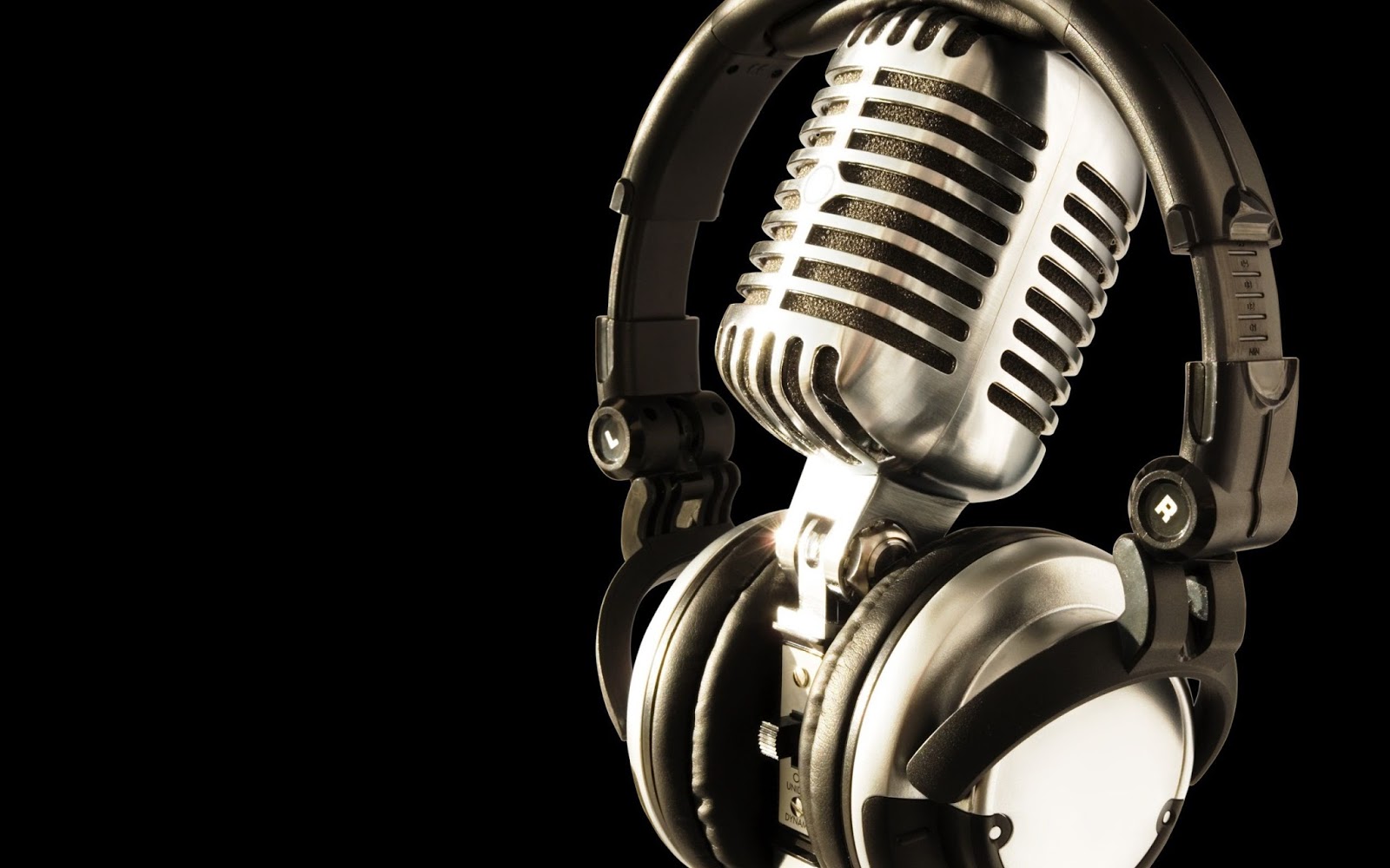 PORTAL DE LA COMUNICACIÓN : capsulas radiales