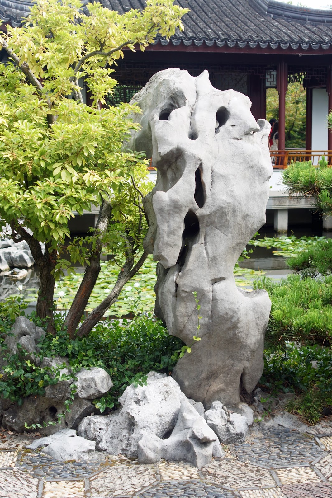 Continually Surprised!: The Sun Yat-Sen Chinese Garden