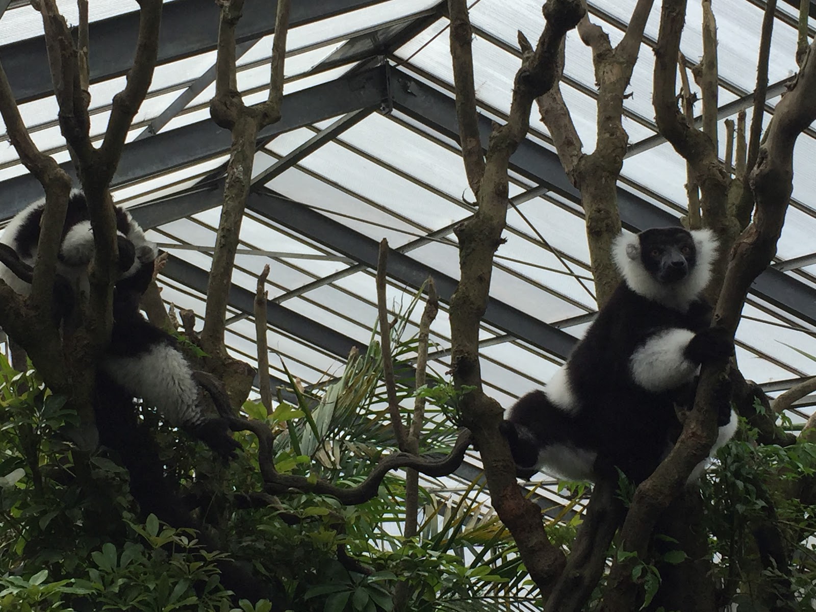 Jesperhus Feriepark: Pirate Weekend (2016) - My New Danish Life